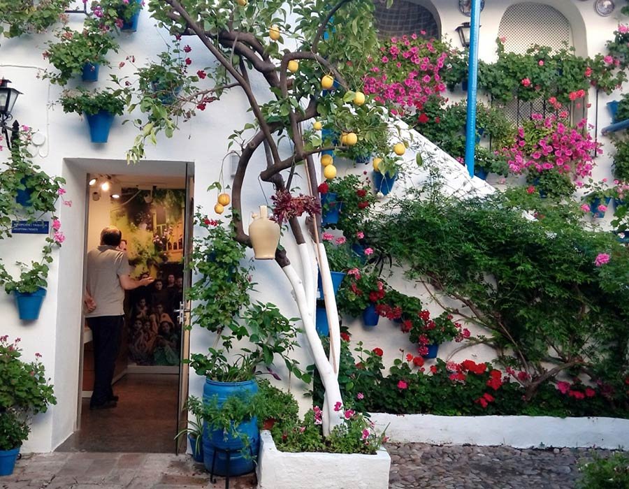 Patios de Córdoba. Lo mejor de los patios andaluces. - Tours y visitas ...